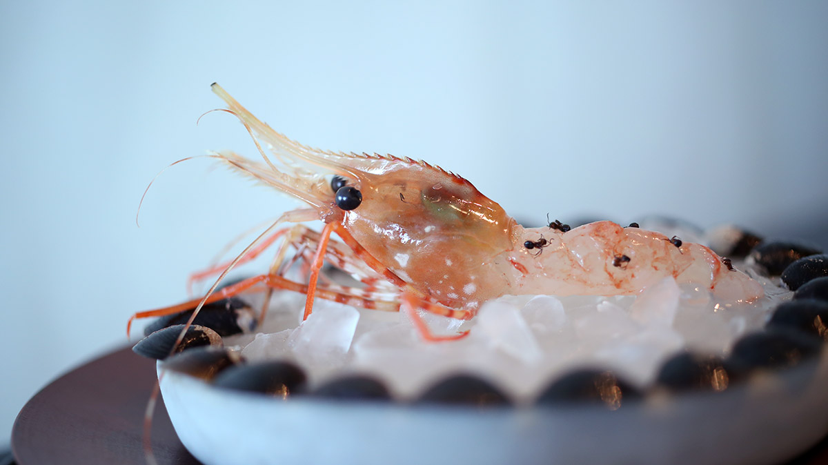 noma at Mandarin Oriental, Tokyo | K's Luxe Dining Table